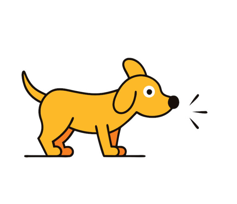 Why Do Dogs Sniff Everything? | Workybooks