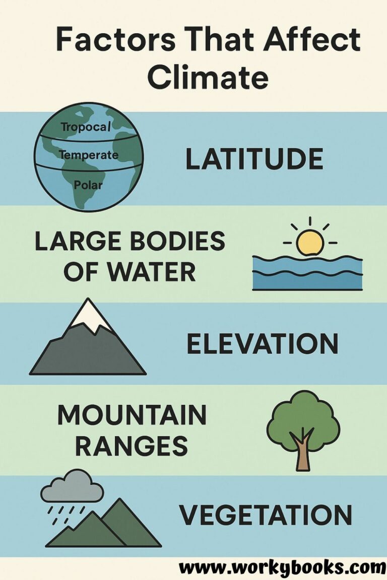 Factors That Affect Climate: Reading Passages for Grades 5–8 | Workybooks