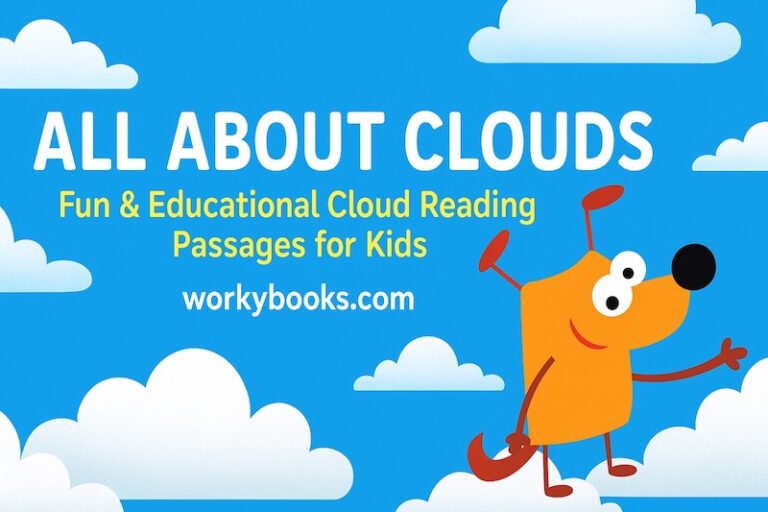 Types of Clouds for Kids | Workybooks